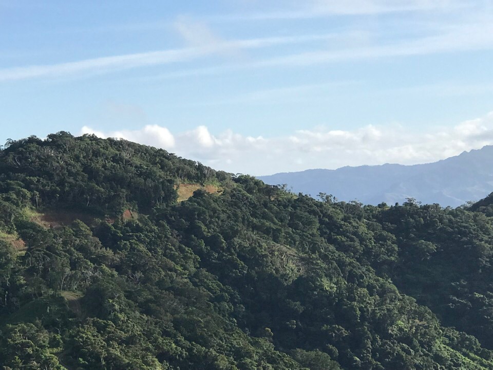FOREST CONSERVATION WITH FIJI’S FORESTRY ER PROGRAM - REDD+ Fiji